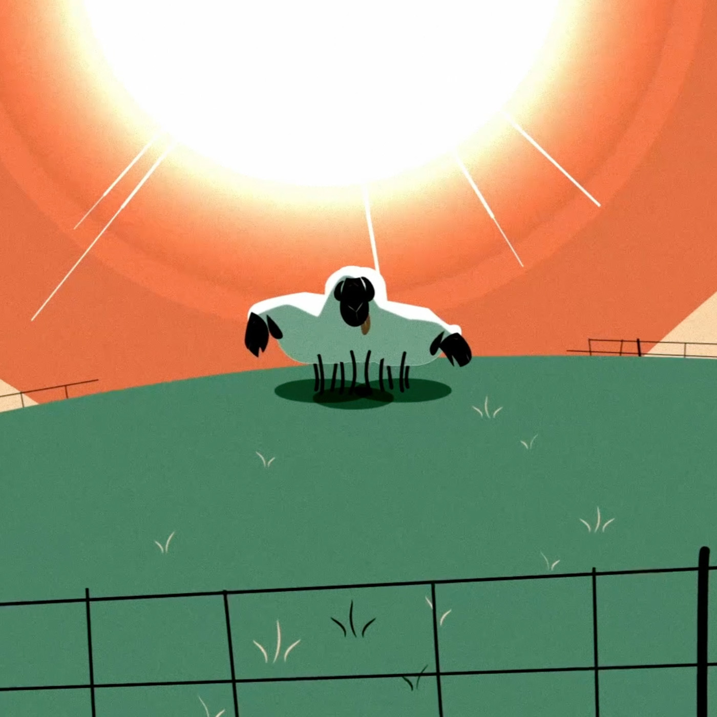 Veterinary Office Explainer Video Pixelfarm
